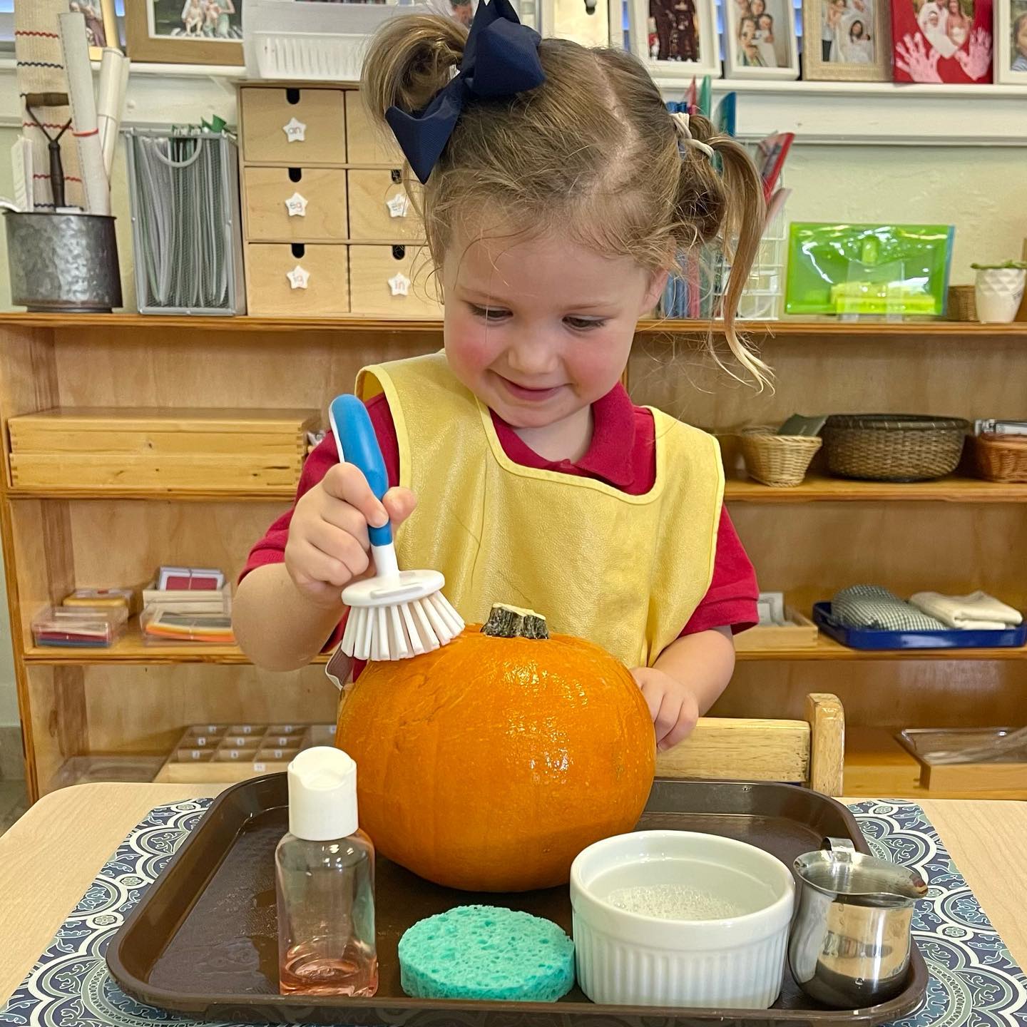 Gables Montessori School